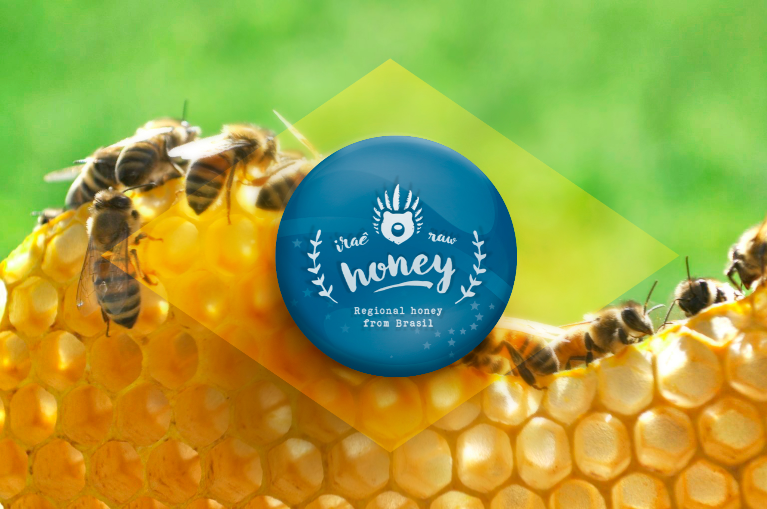 Iraê Honey | Organic, raw & Pure honey, directly from Brazil.